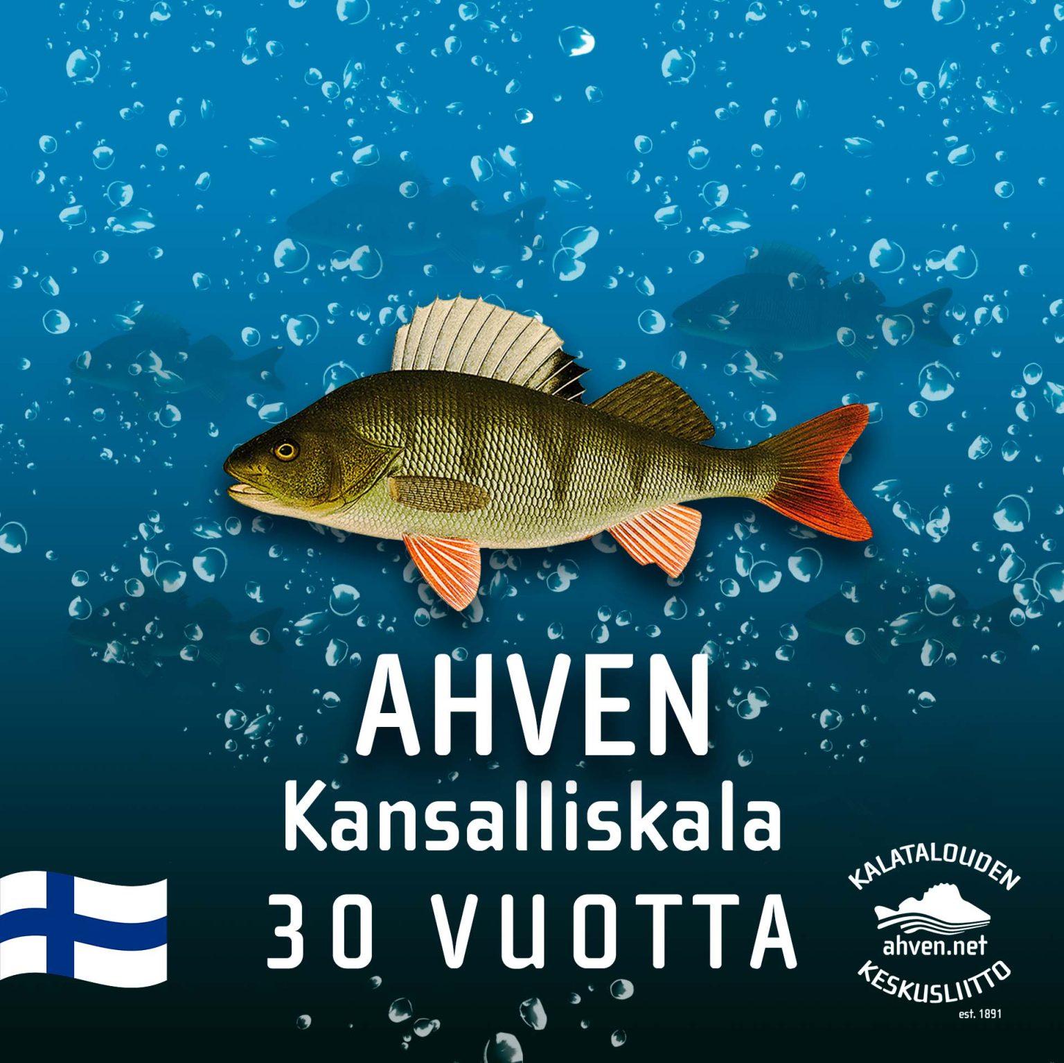 Suomen kansalliskala ahven täyttää 30 vuotta – juhlavuonna jaetaan ...